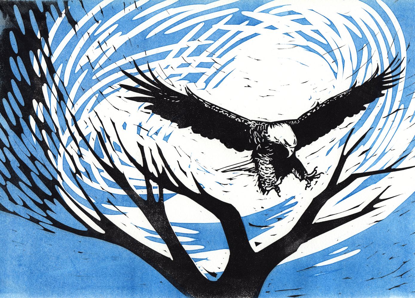 Nick Morley Printmaker -Jackson's Art Blog