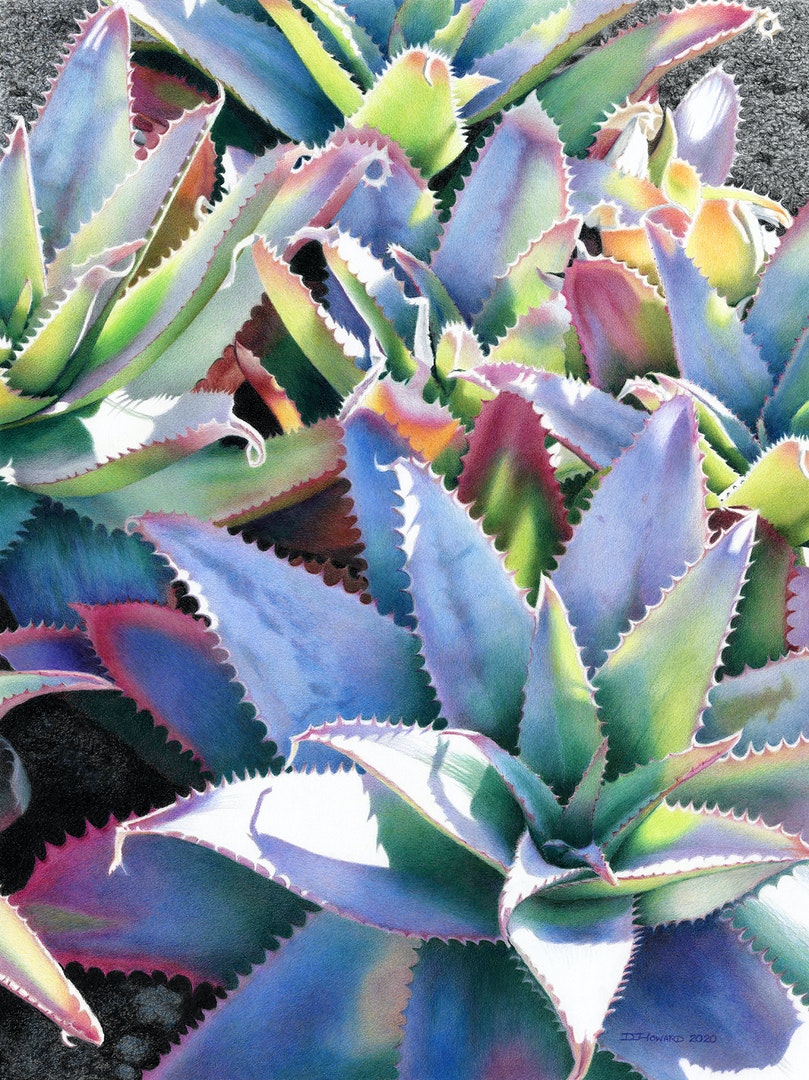 Jackson's Art Prize 2021