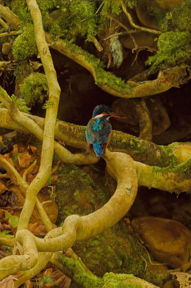 Robert Cook, Award Winning Wildlife Artist - Jackson's Art Blog