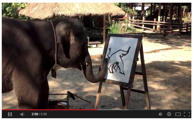Baby Elephant Paints Self Portrait Using Dynasty Brushes - Jackson's ...