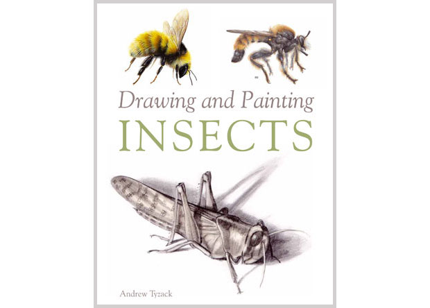 Drawing & Painting Insects book by Andrew Tyzack - Jackson's Art Blog