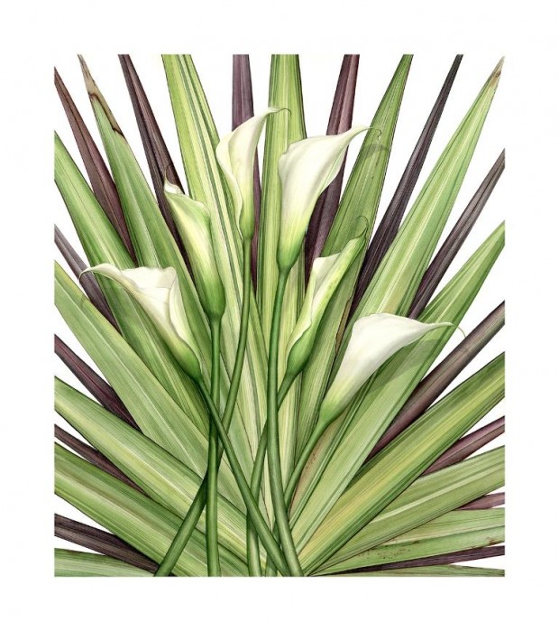 Getting to Know Botanical Artist Billy Showell - Jackson's Art Blog