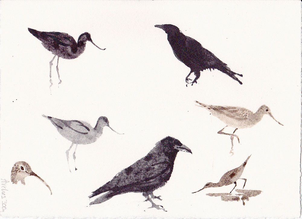 Liquid Pencil - Paint with Graphite -Jackson's Art Blog