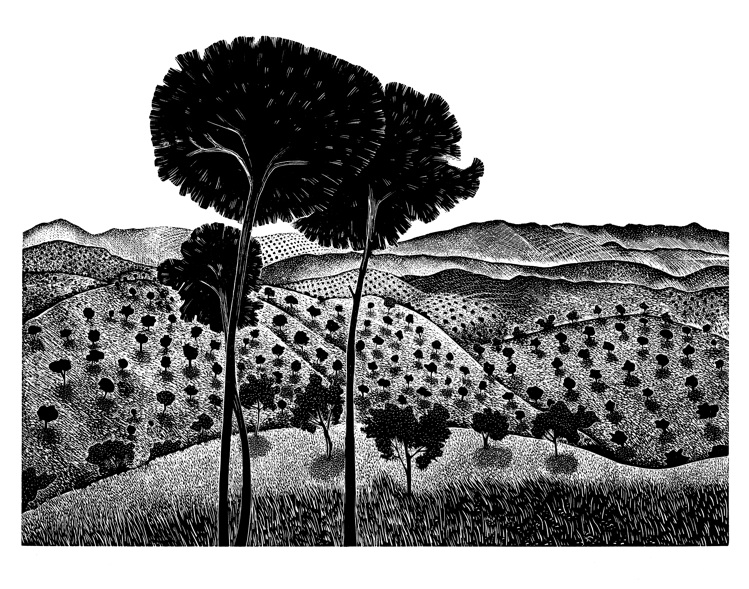 Current Events #16 - Jackson's Art Blog