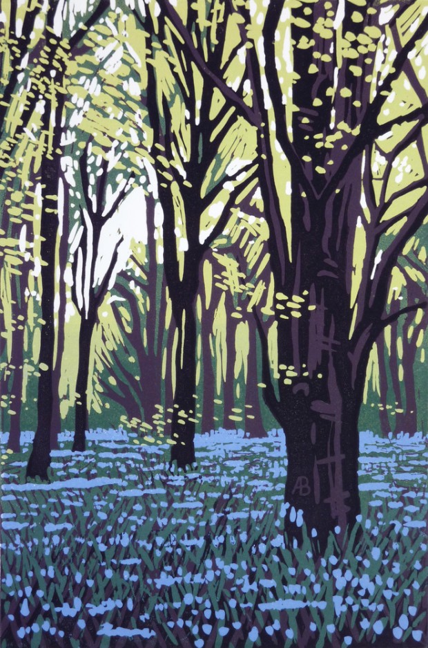 ‘Impressions of Nature’ Printmaking Competition Winners - Jackson's Art ...