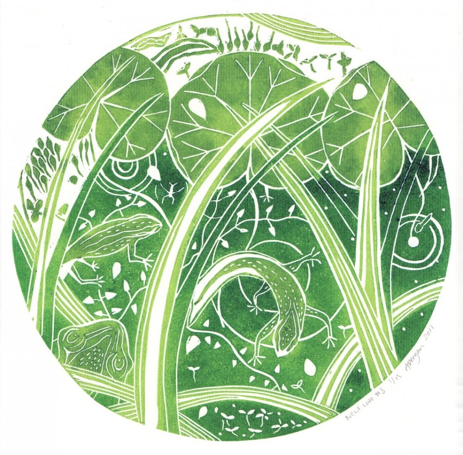 ‘Impressions of Nature’ Printmaking Competition Winners - Jackson's Art ...
