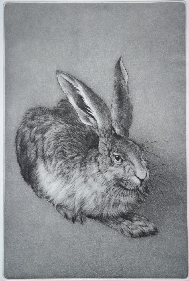 Impressions of Nature Winner Clive Riggs - Jackson's Art Blog