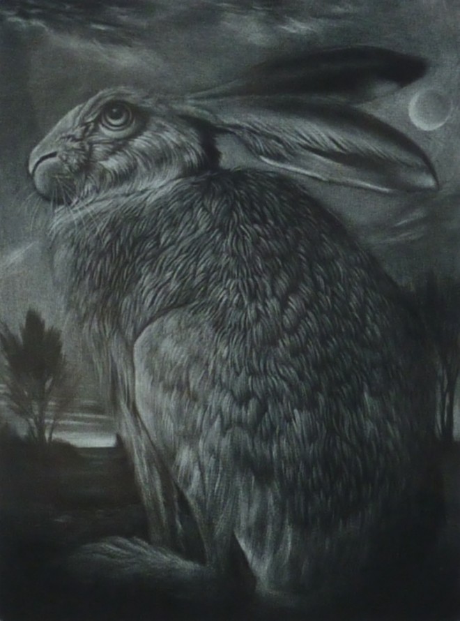 Impressions of Nature Winner Clive Riggs - Jackson's Art Blog