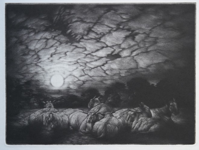 Impressions of Nature Winner Clive Riggs - Jackson's Art Blog