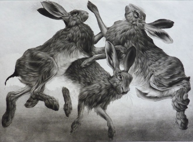 Impressions of Nature Winner Clive Riggs - Jackson's Art Blog