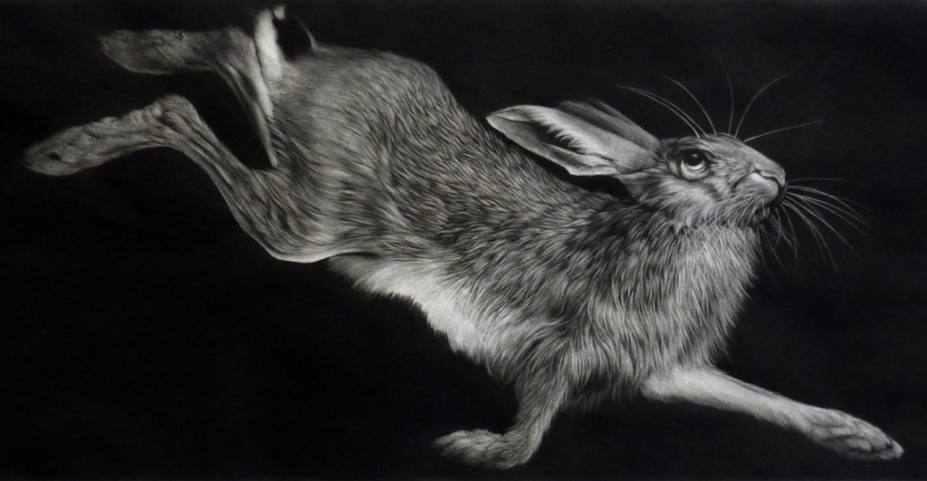 Impressions of Nature Winner Clive Riggs - Jackson's Art Blog