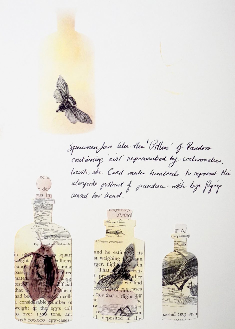 Natalie McIntyre's Meticulous Beautiful Insect Drawings - Jackson's Art ...