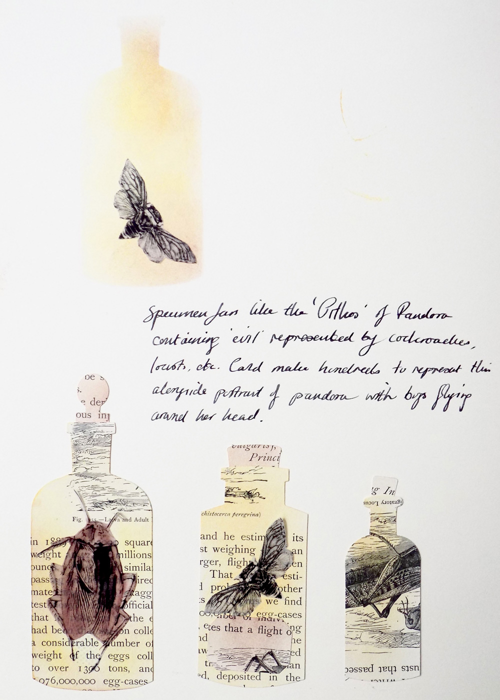 Natalie McIntyre's Meticulous Beautiful Insect Drawings - Jackson's Art ...