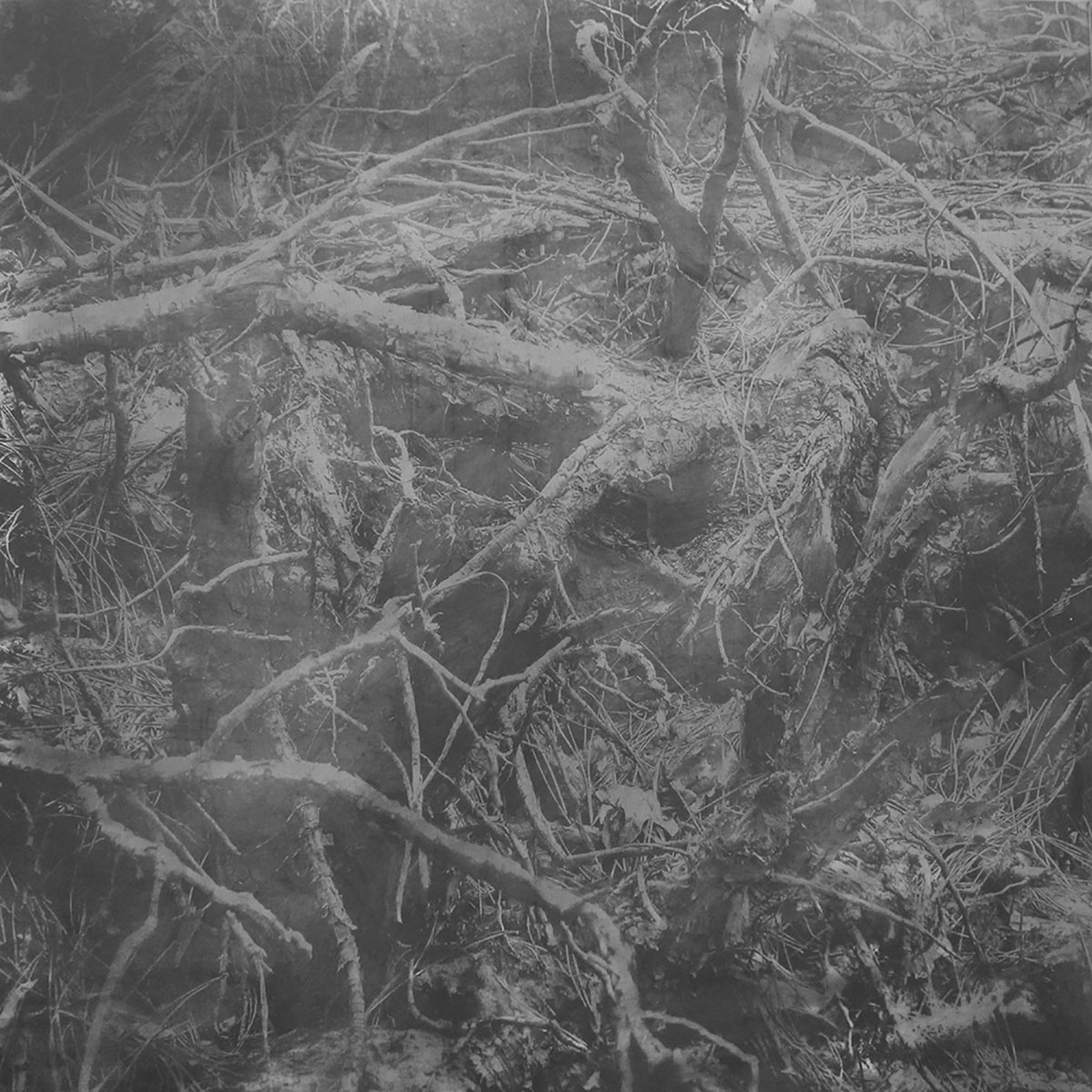 Derwent Art Prize 2016 Winners - Jackson's Art Blog