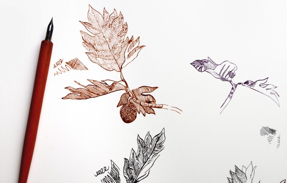 A Guide to Dip Pens and Drawing Inks | Jackson's Art Blog