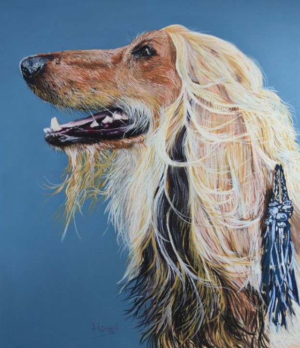 An Afghan Hound in Pastels - Artist Elizabeth Hough reviews Sennelier ...