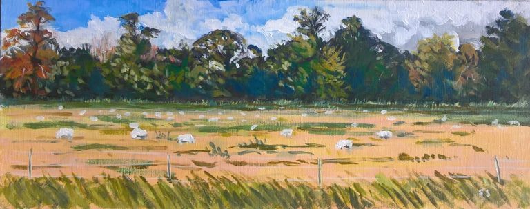 Jamie Sugg: Fenland Skies in Acrylics - Jackson's Art Blog