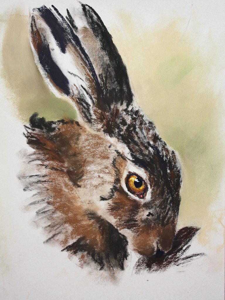 A Hare in Sennelier Soft Pastels by Catherine E Inglis SWA - Jackson's ...