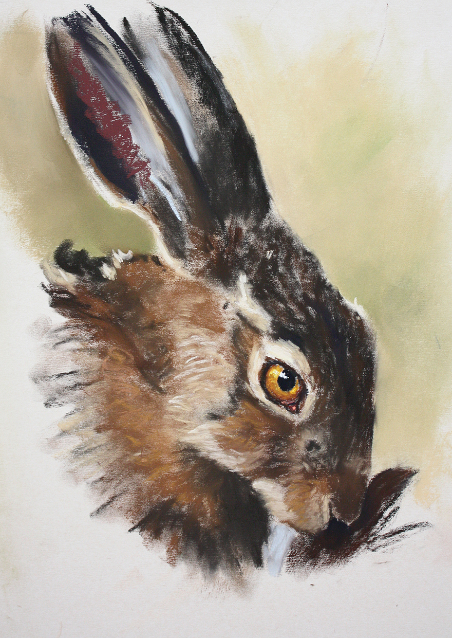 A Hare in Sennelier Soft Pastels by Catherine E Inglis SWA - Jackson's ...