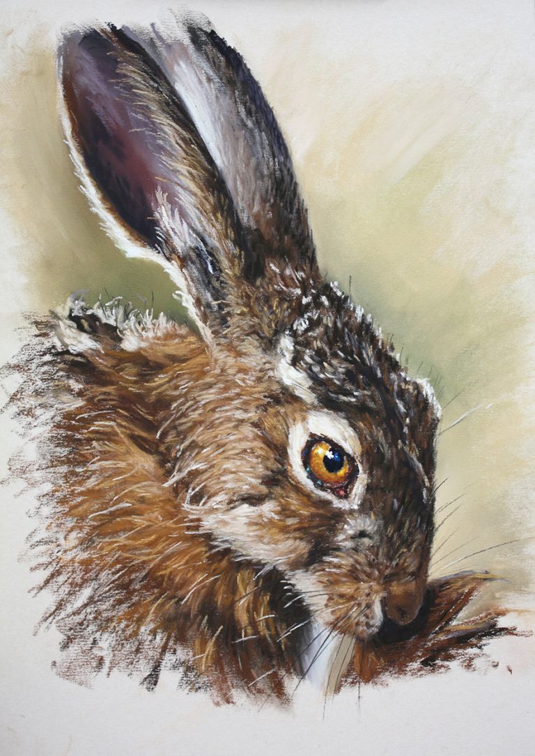 A Hare in Sennelier Soft Pastels by Catherine E Inglis SWA - Jackson's ...