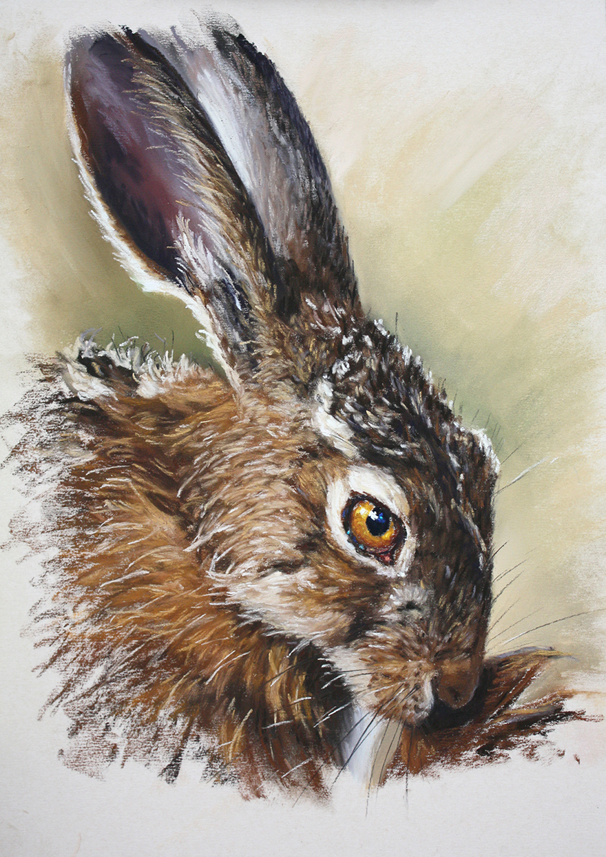 A Hare in Sennelier Soft Pastels by Catherine E Inglis SWA - Jackson's ...