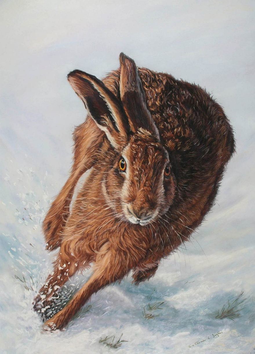 A Hare in Sennelier Soft Pastels by Catherine E Inglis SWA - Jackson's ...