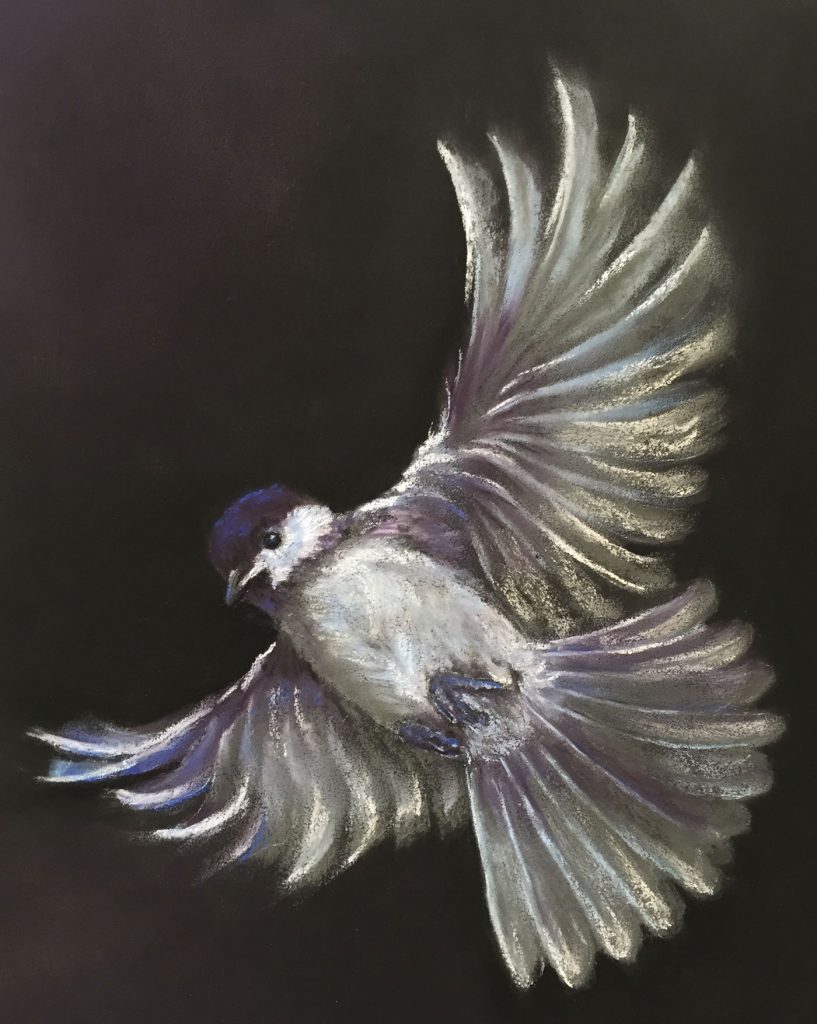 Liz Elsworth Reviews Art Spectrum Soft Pastels - Jackson's Art Blog