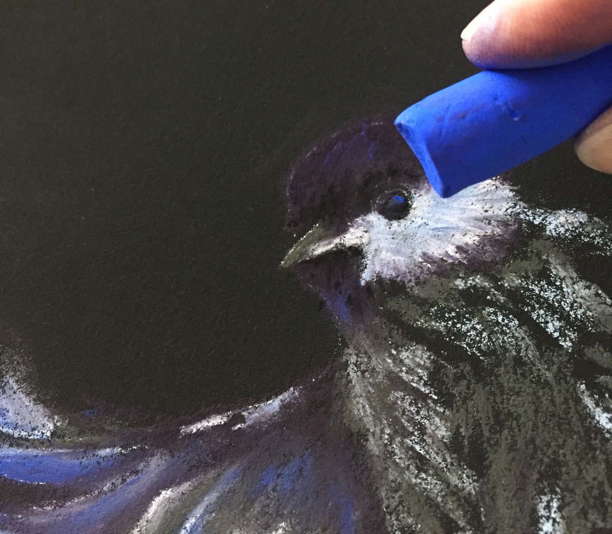 Liz Elsworth Reviews Art Spectrum Soft Pastels - Jackson's Art Blog