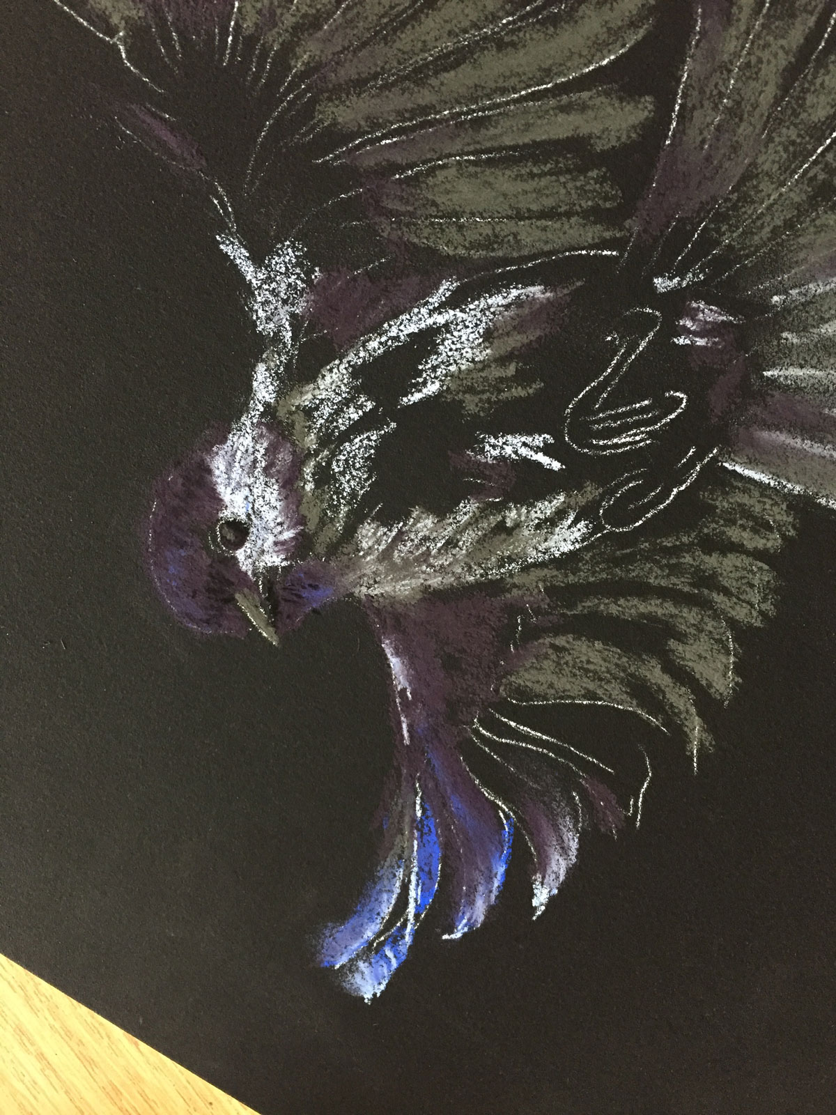 Liz Elsworth Reviews Art Spectrum Soft Pastels - Jackson's Art Blog