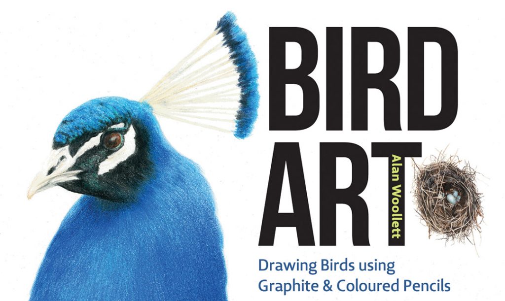 'Bird Art' by Alan Woollett, reviewed by Ray Scally - Jackson's Art Blog