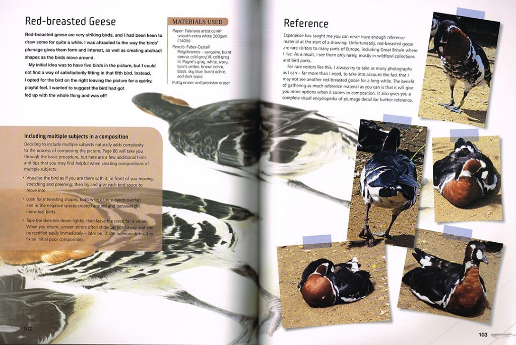 'Bird Art' by Alan Woollett, reviewed by Ray Scally - Jackson's Art Blog