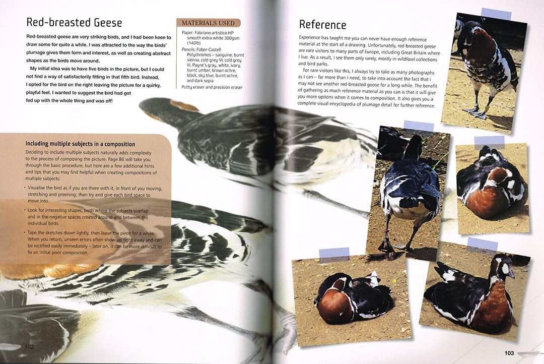 'Bird Art' by Alan Woollett, reviewed by Ray Scally - Jackson's Art Blog