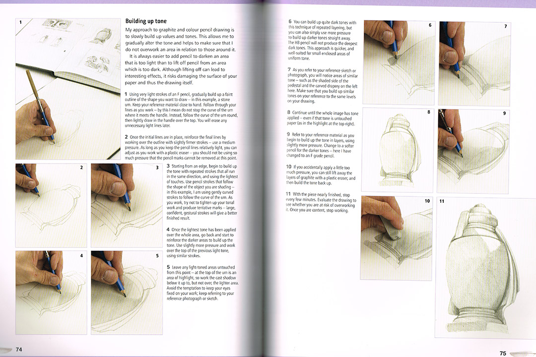 'Bird Art' by Alan Woollett, reviewed by Ray Scally - Jackson's Art Blog