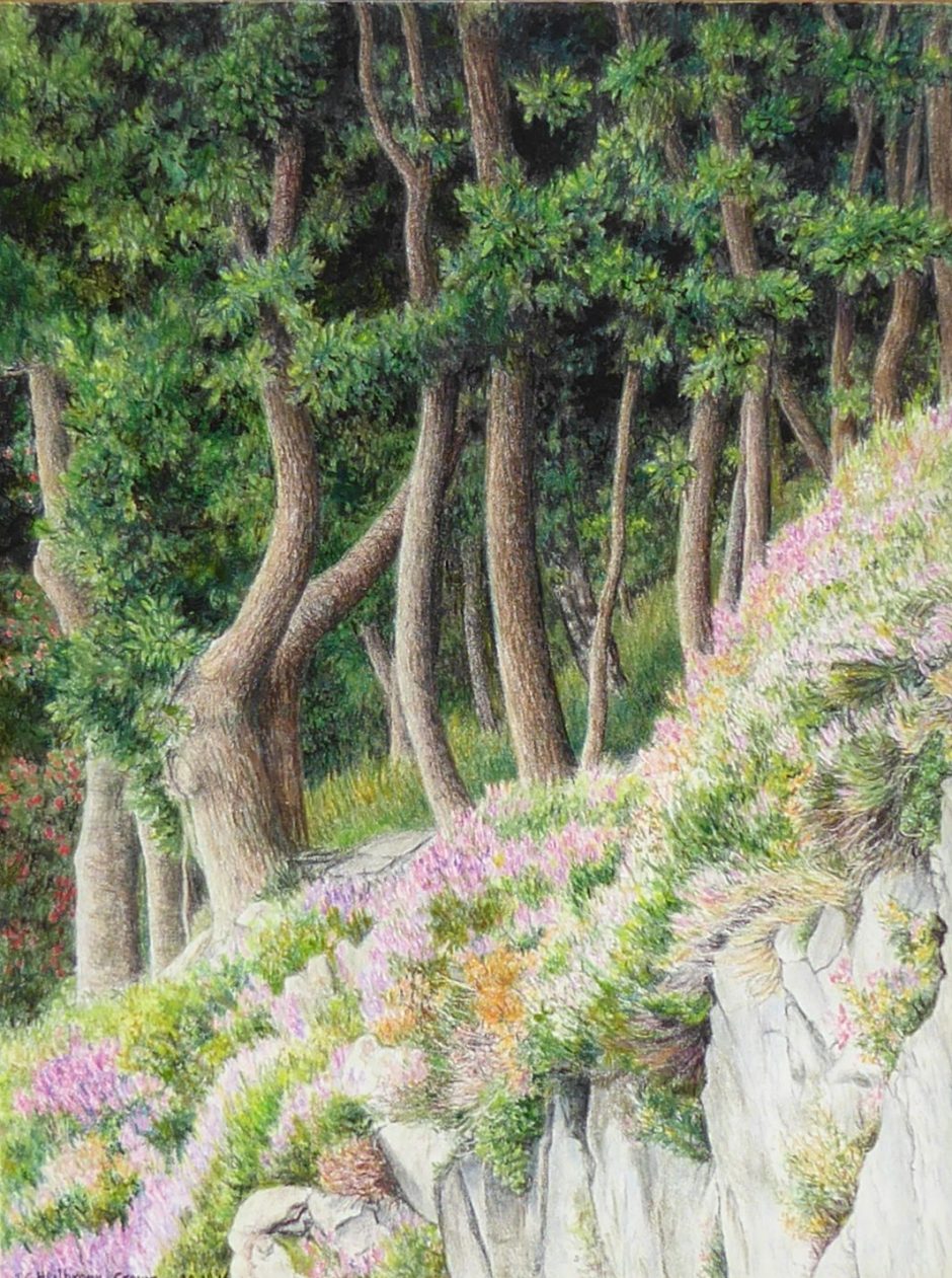 Judith Crown - Coloured Pencil Landscapes and Nature - Jackson's Art Blog