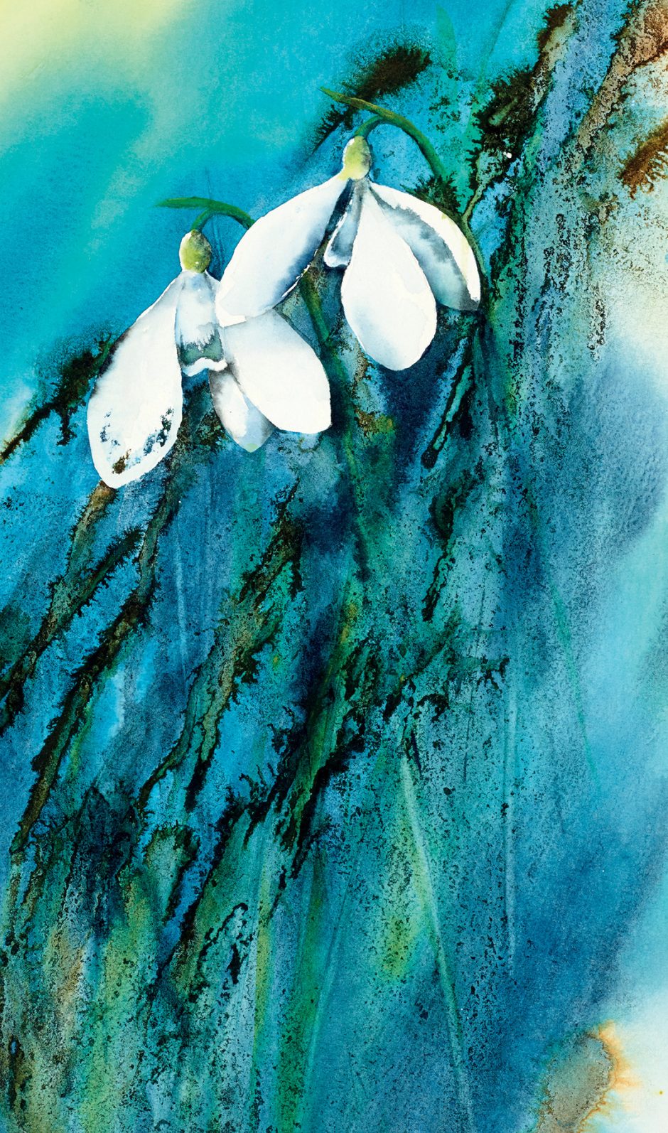 Interview with Jane Betteridge and Review of Watercolours Unleashed ...