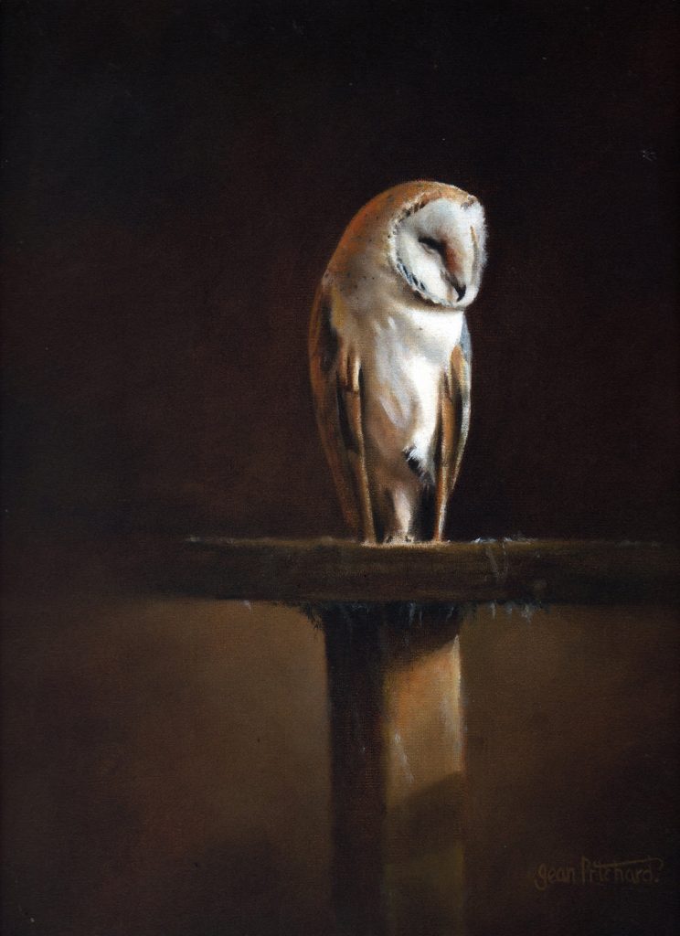 Jean Pritchard - Winner of the Association of Animal Artists 'British ...