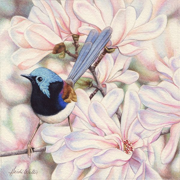 The Boundaries of Botanical Art: Heidi Willis - Jackson's Art Blog