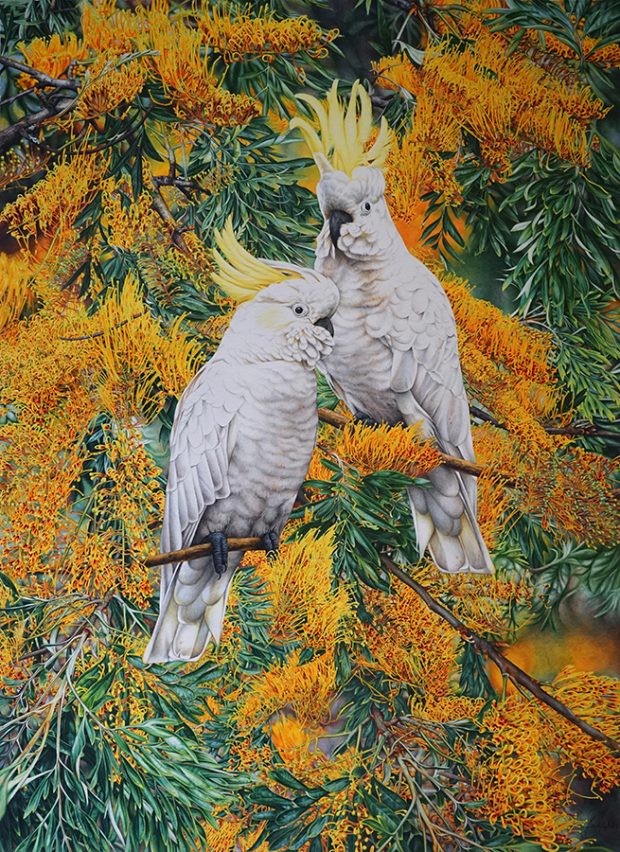 Advice from Botanical Artists: Heidi Willis - Jackson's Art Blog