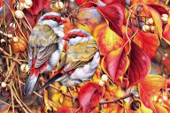 Collagraph Print Making by Suzie MacKenzie - Jackson's Art Blog