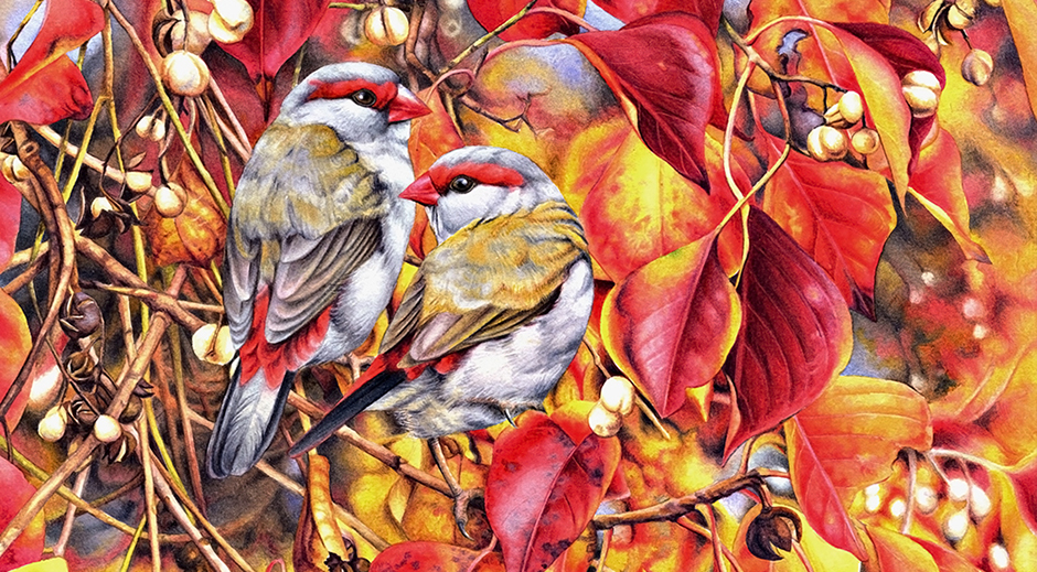 The Boundaries of Botanical Art: Heidi Willis - Jackson's Art Blog