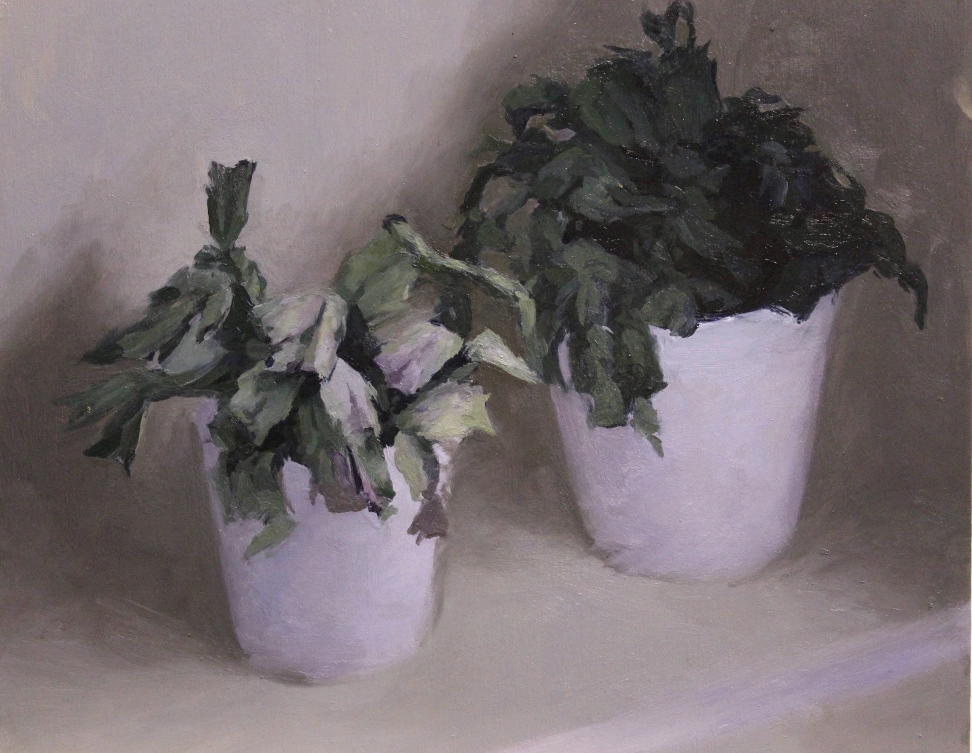 An Interview with Tim Patrick: Connecting Work with Life - Jackson's ...