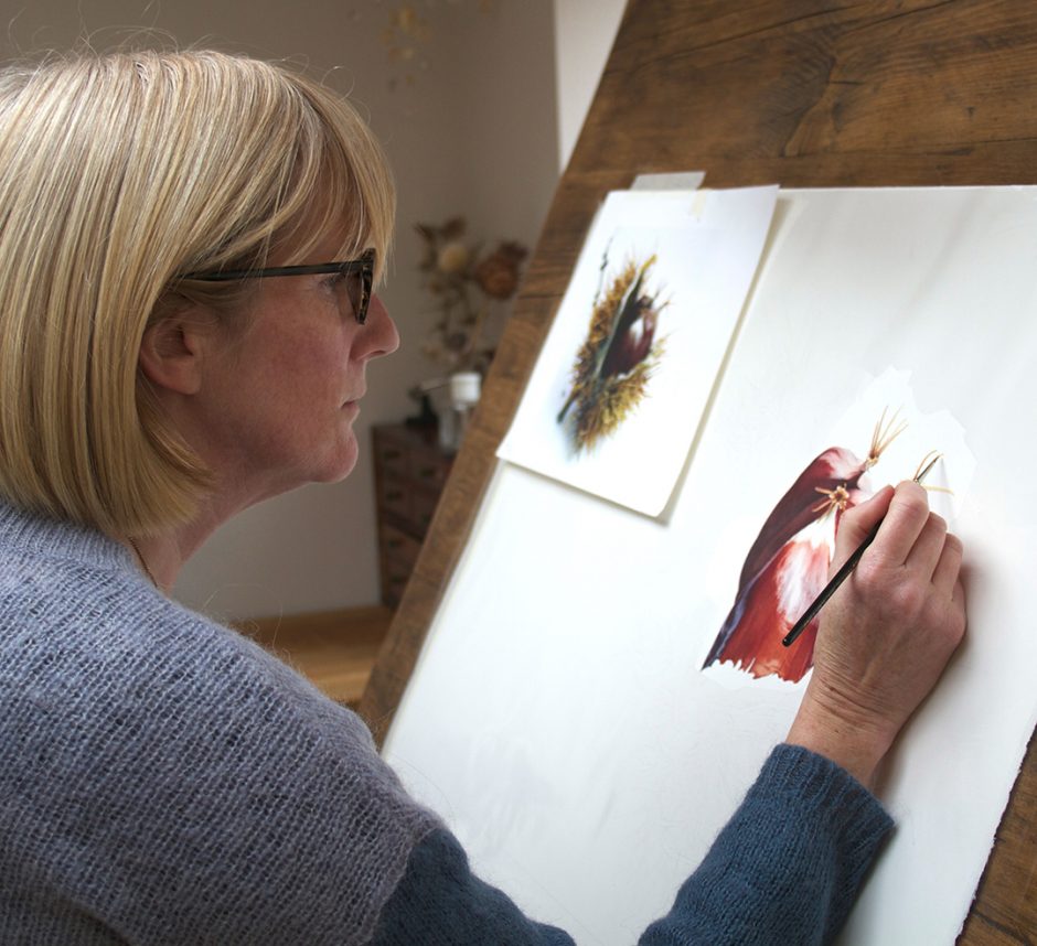 Vivienne Rew: Winner of our 'Plant Life - Botanical Illustration' Comp ...