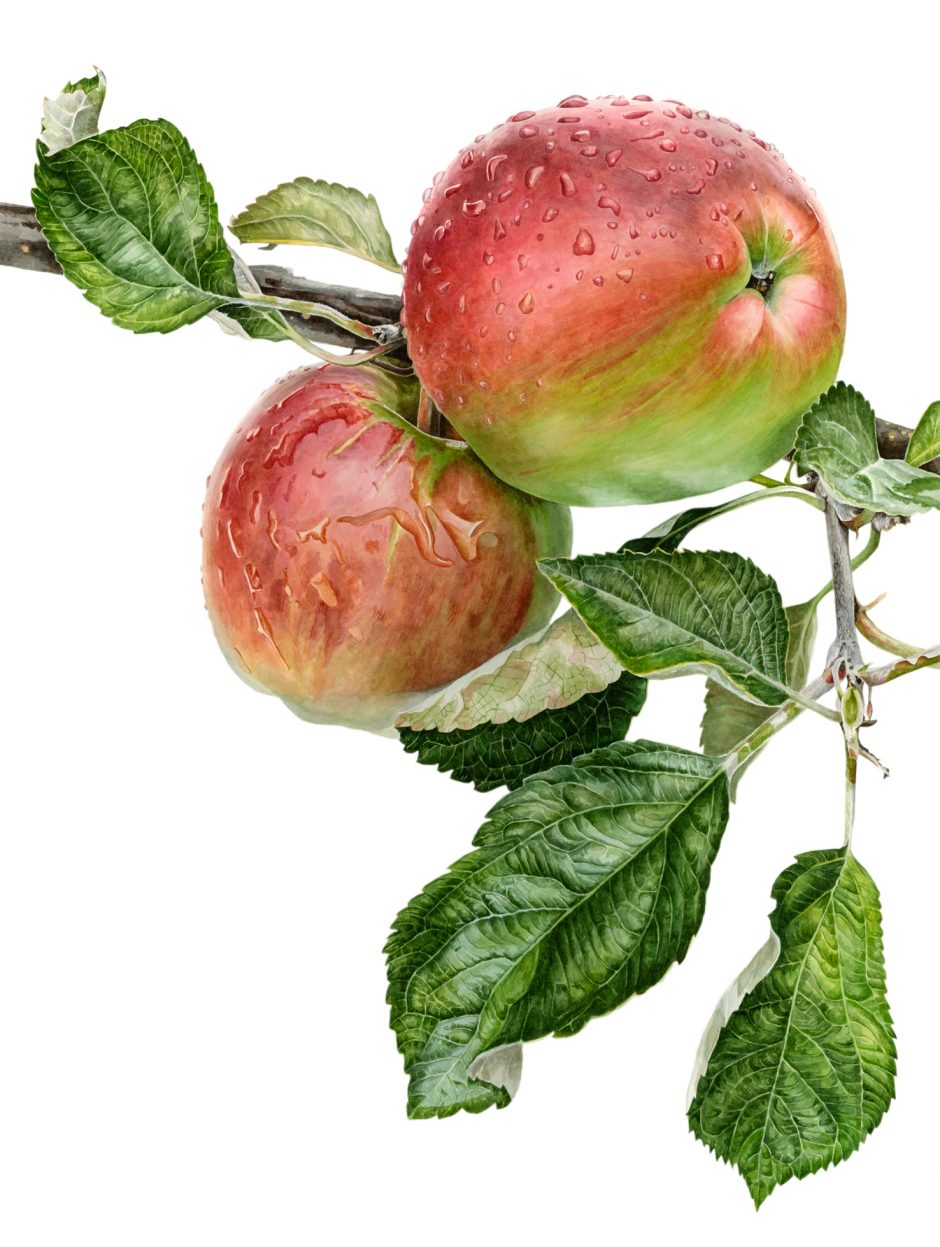 Anna Mason's Watercolour World Interview - Jackson's Art Blog