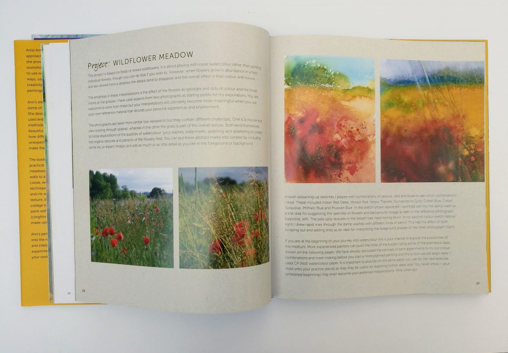 Ann Blockley's Watercolour Workshop: Book Review - Jackson's Art Blog