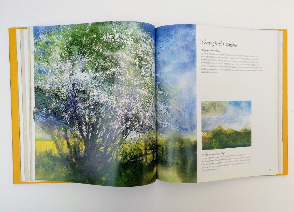 Ann Blockley's Watercolour Workshop: Book Review - Jackson's Art Blog