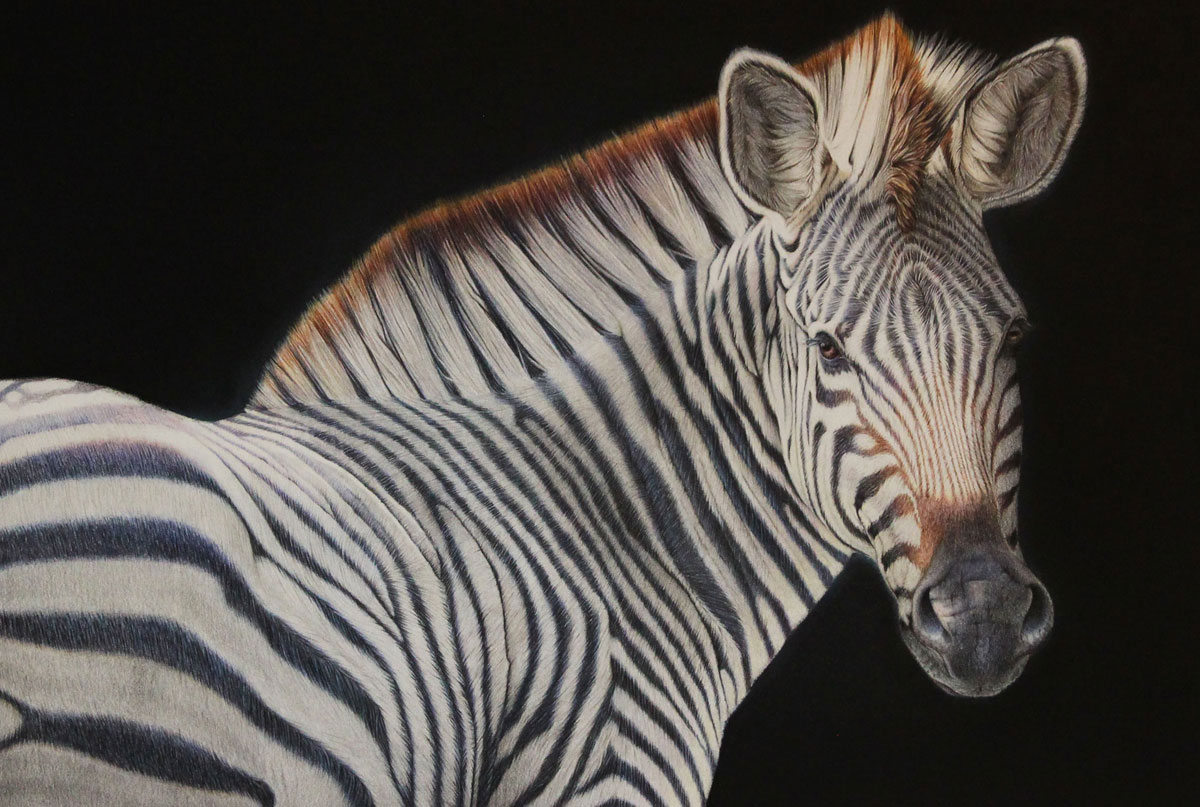 Nicola Wilkinson: the Animal in the Detail - Jackson's Art Blog