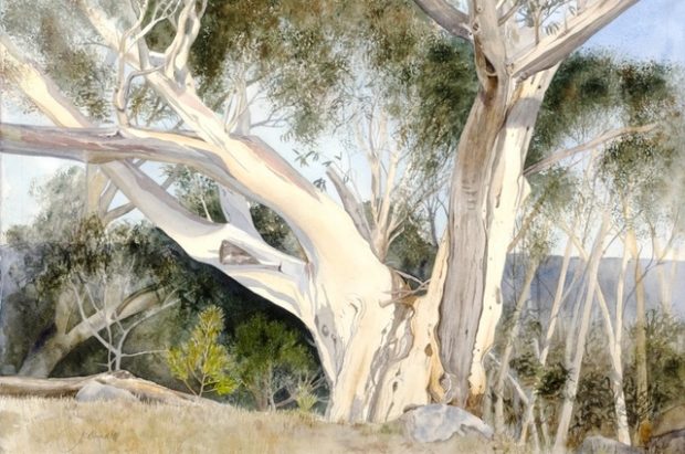 Jane Blundell Interview on Watercolour - Jackson's Art Blog