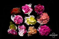 Golden Acrylic Mediums Comparison - Jackson's Art Blog