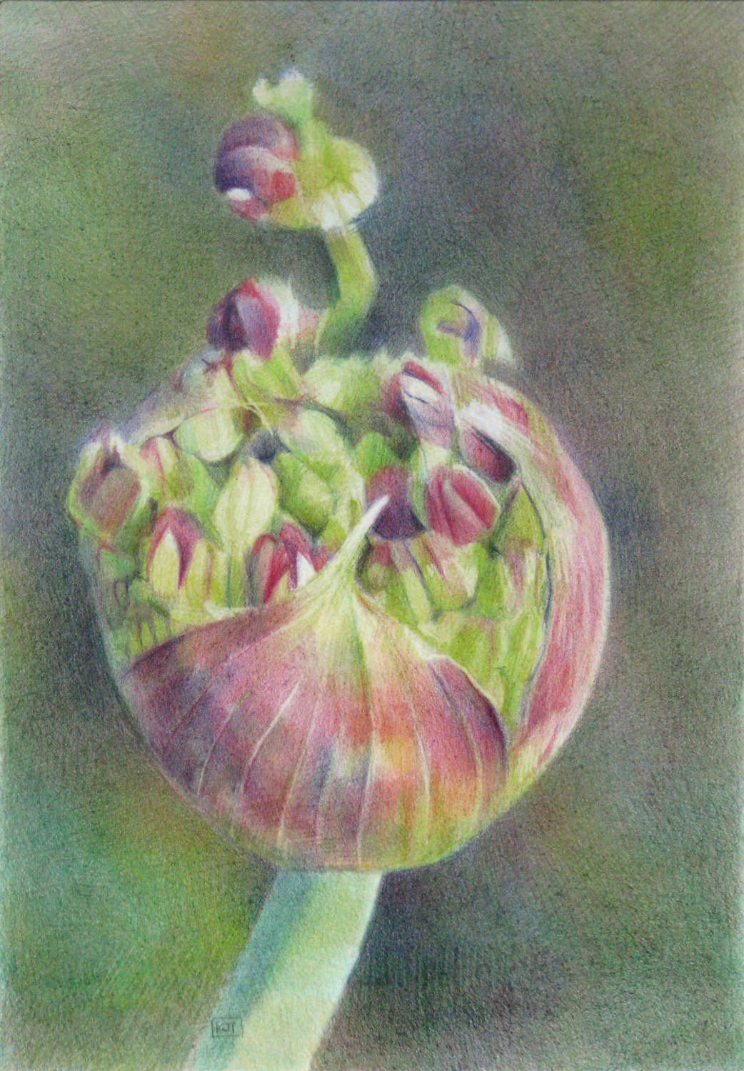 Katherine Tyrrell: Jackson's Painting Prize 2020 Expert Judge Interview ...