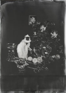 Christopher Cook: Luminous Objects - Jackson's Art Blog